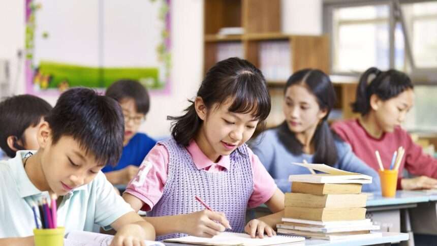 Primary School Registration Phases: A Parent's Step-by-Step Guide